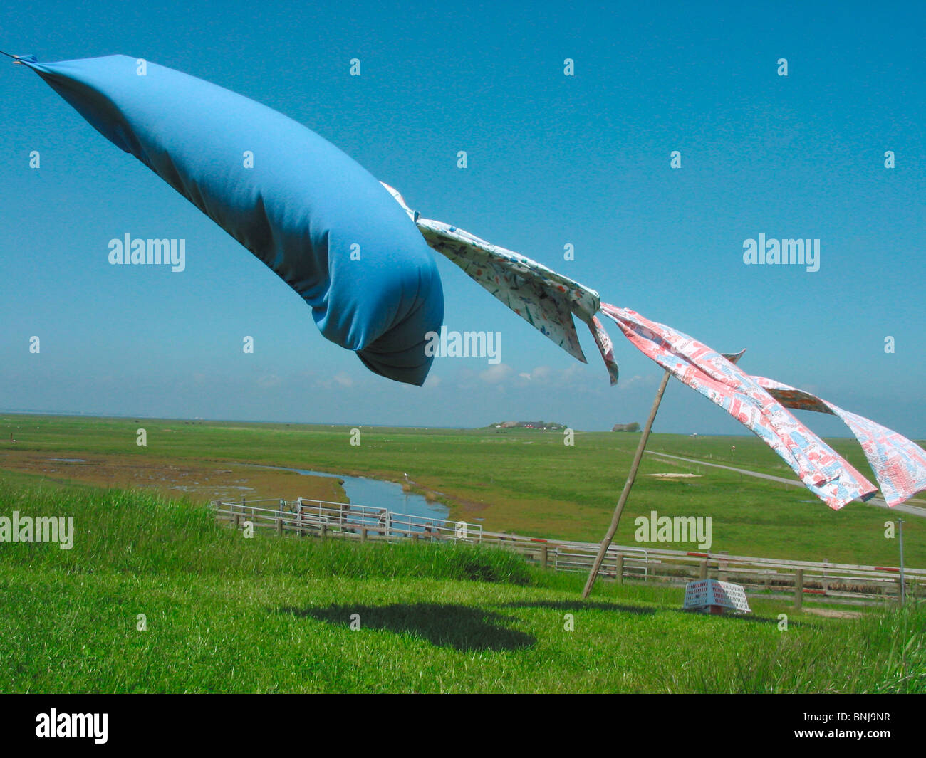 Laundry laundry day clothesline windy day Hallig Langenes mud flats ...