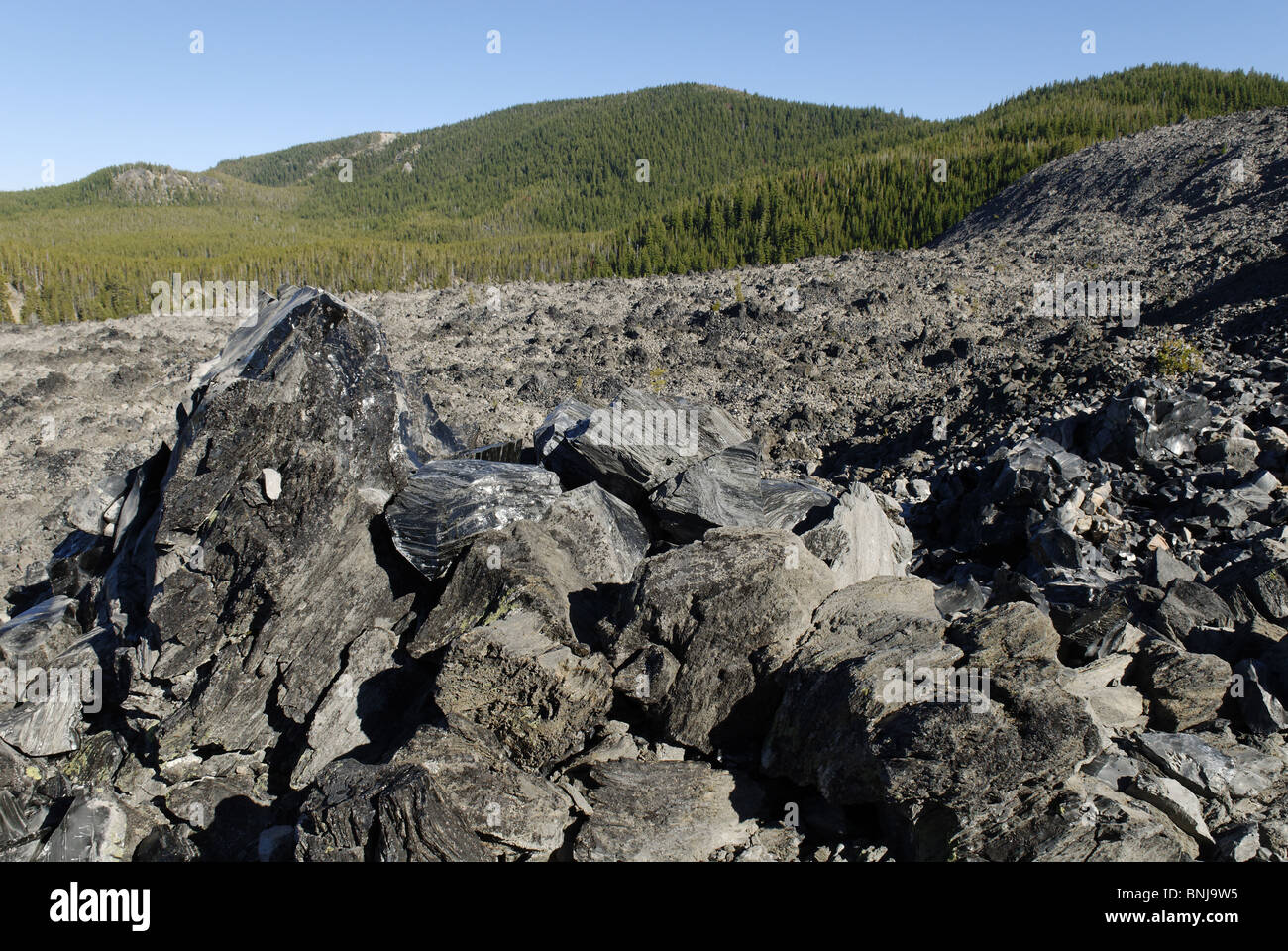 Agate volcanic glass Obsidian Flow Newberry national volcanic monument Oregon USA America ...