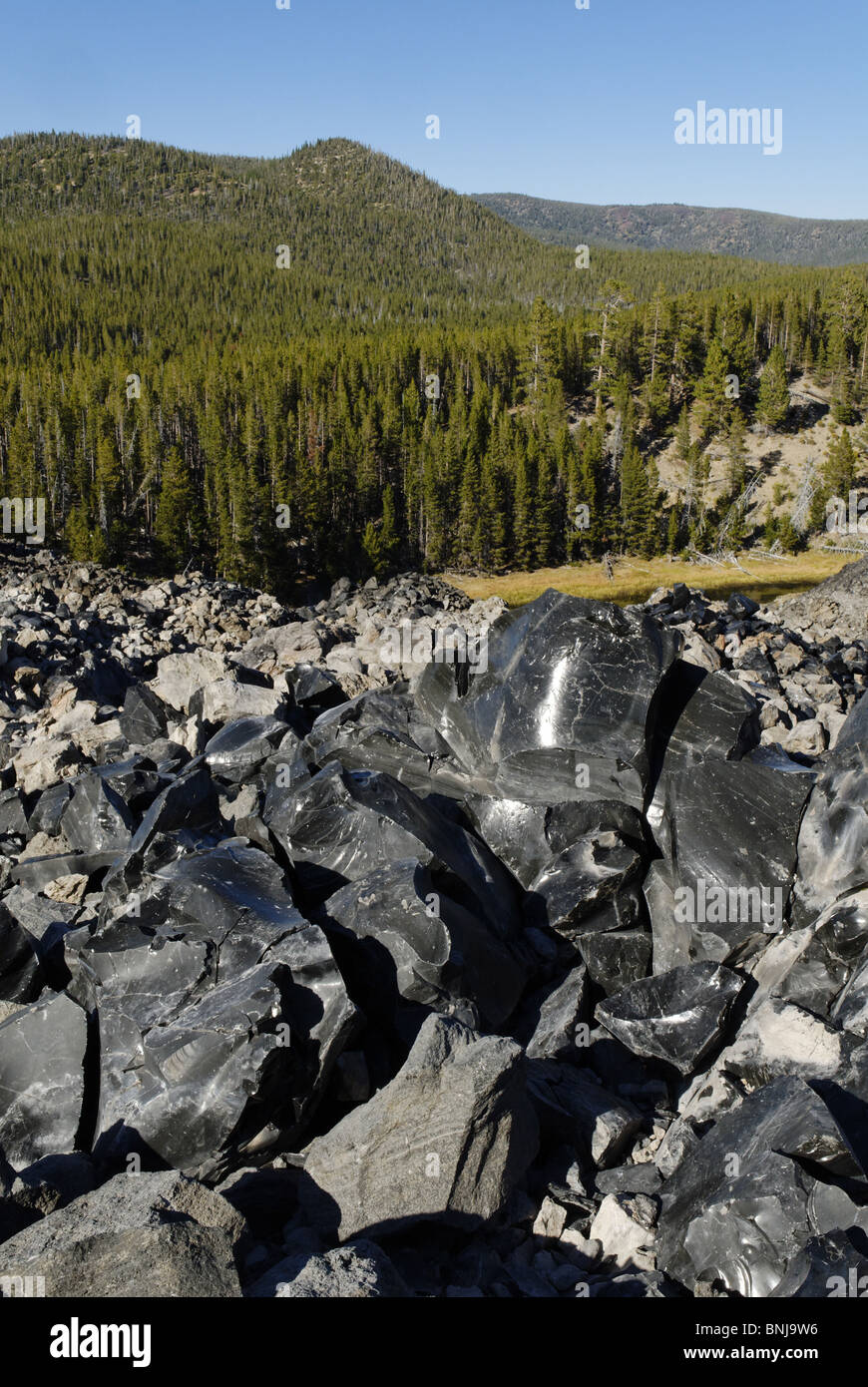 Agate volcanic glass Obsidian Flow Newberry national volcanic monument Oregon USA America ...