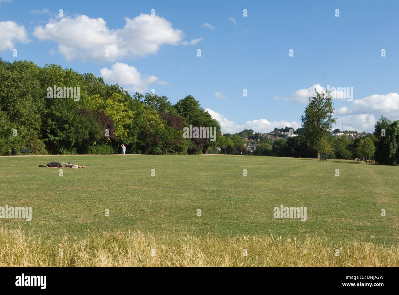 Peckham Rye South London Peckham Rye Park. UK Stock Photo - Alamy