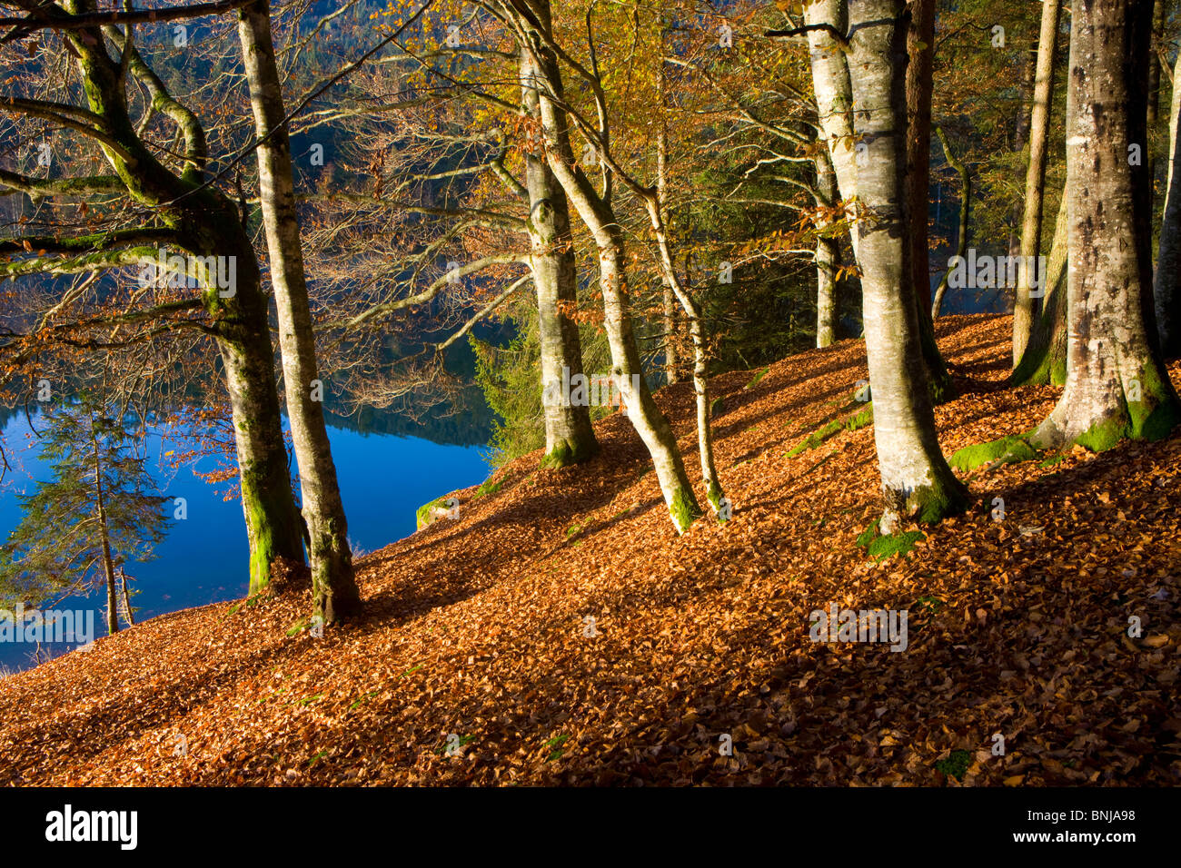 Chapfensee hi-res stock photography and images - Alamy