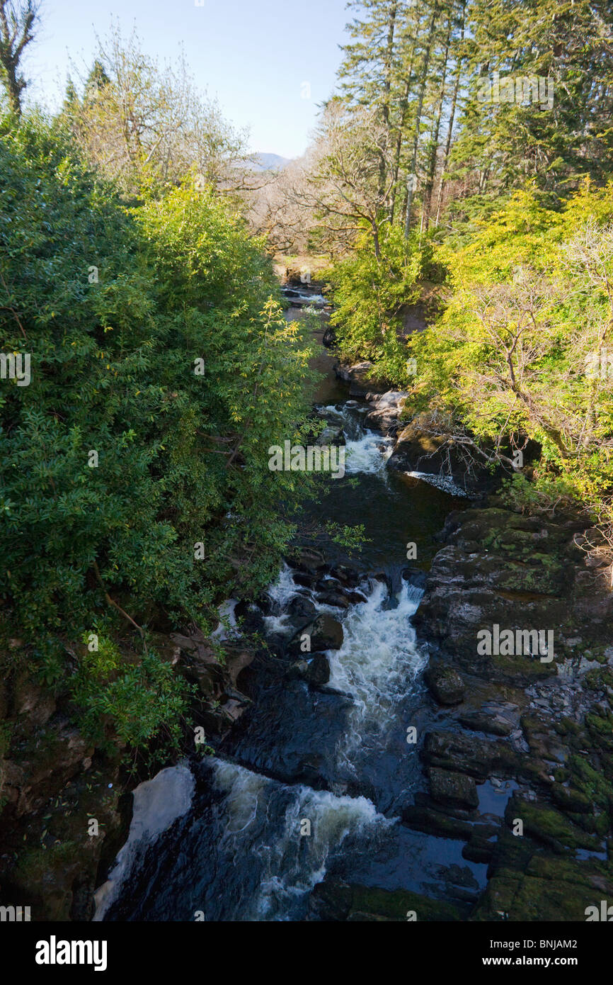 Ring of Kerry Killarney National Park County Kerry Co. in spring ...