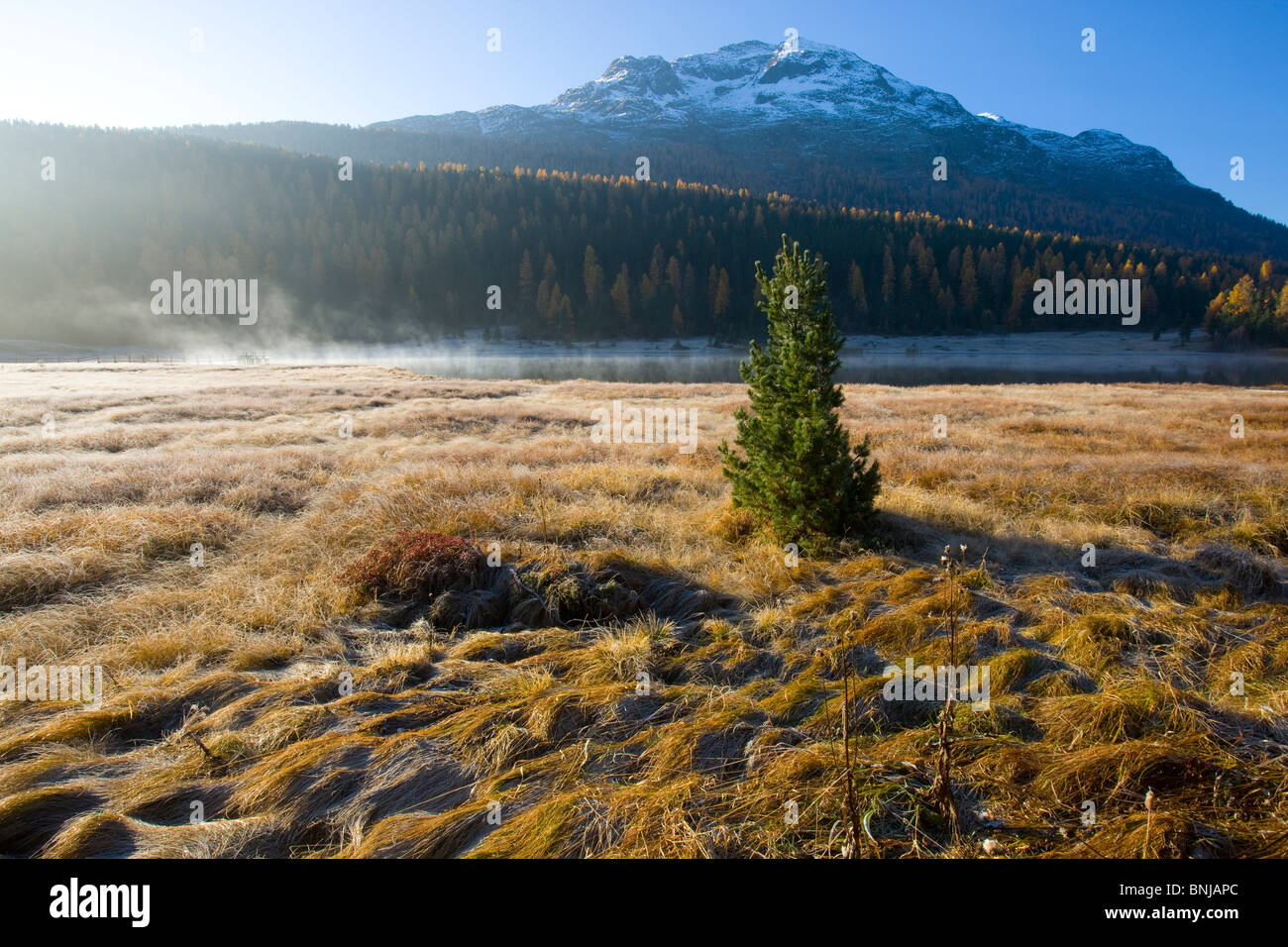 Stazersee Lej da Staz Lake of Staz Switzerland Canton of Graubünden ...
