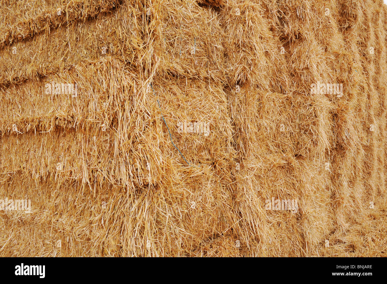 Giant hay stack Stock Photo - Alamy