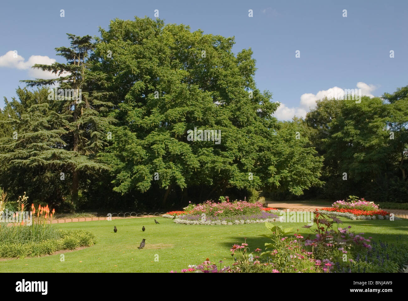 Peckham Rye Park. South London Peckham Rye Park. UK HOMER SYKES Stock ...