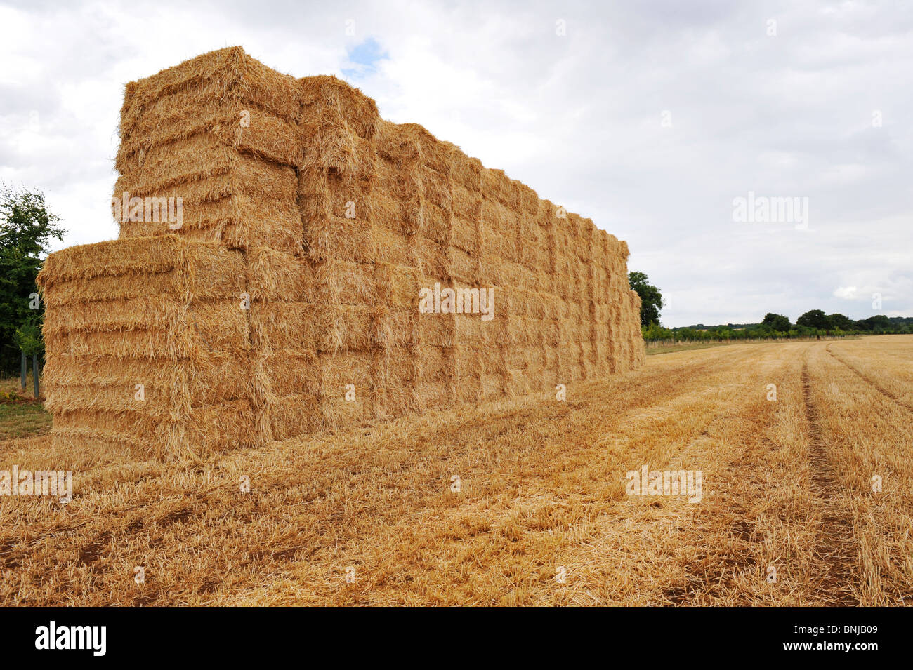 Giant hay stack gathered together after a harvest and awaiting ...