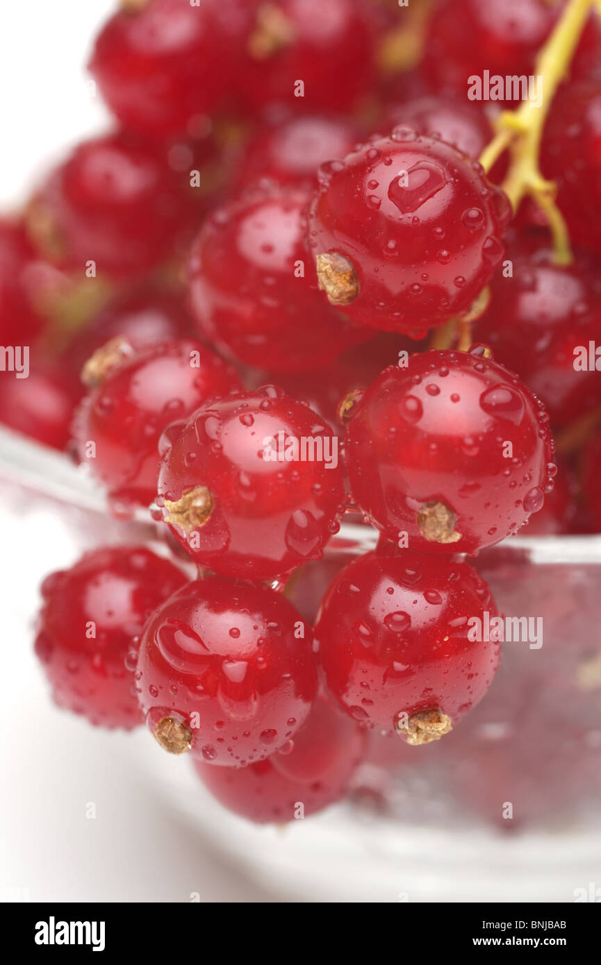 Red currant în white hi-res stock photography and images - Alamy