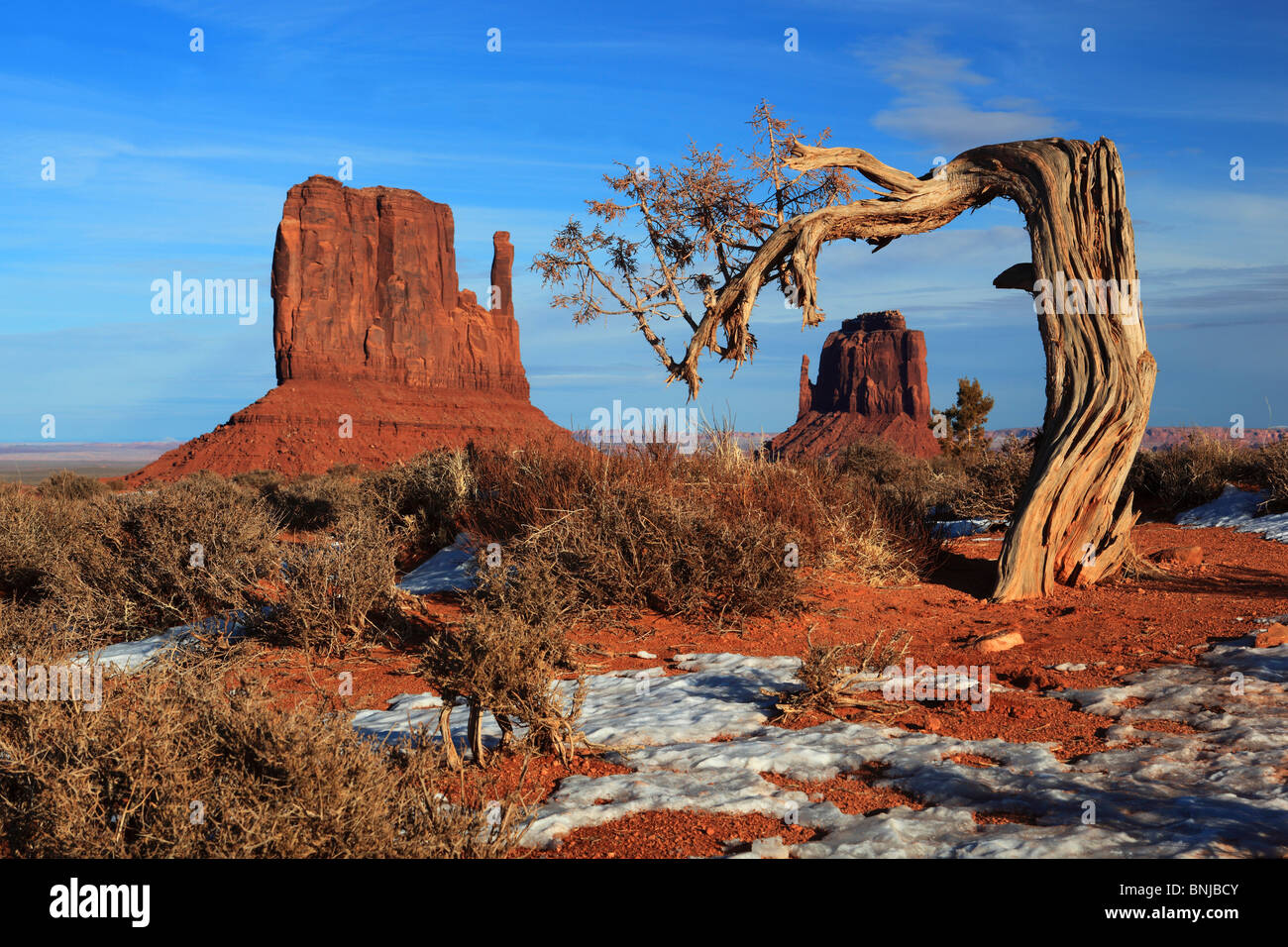 Monument Valley Winter Rock Monolith Mitten Buttes Tree Utah USA North ...