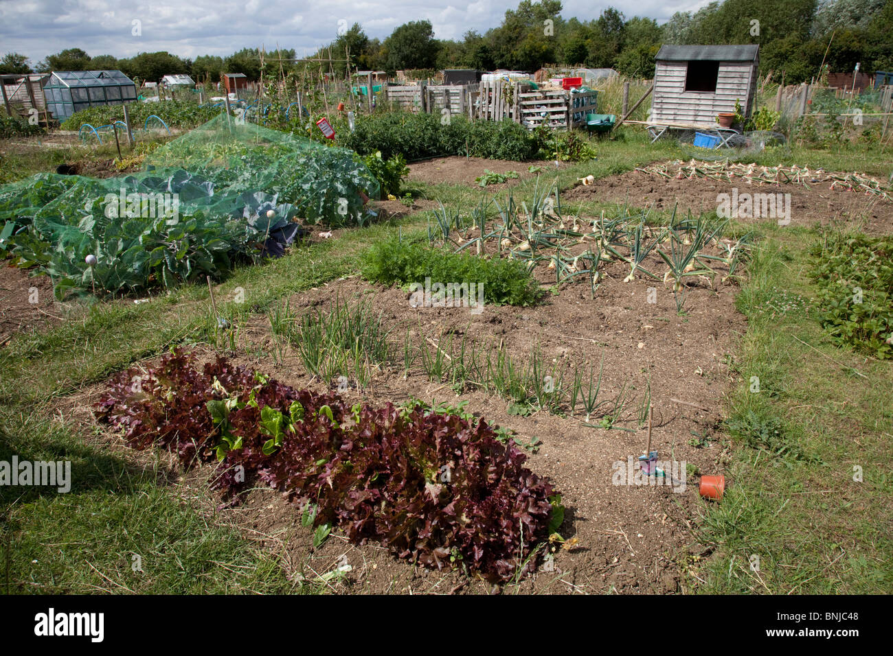 Community Food Growing High Resolution Stock Photography and Images - Alamy