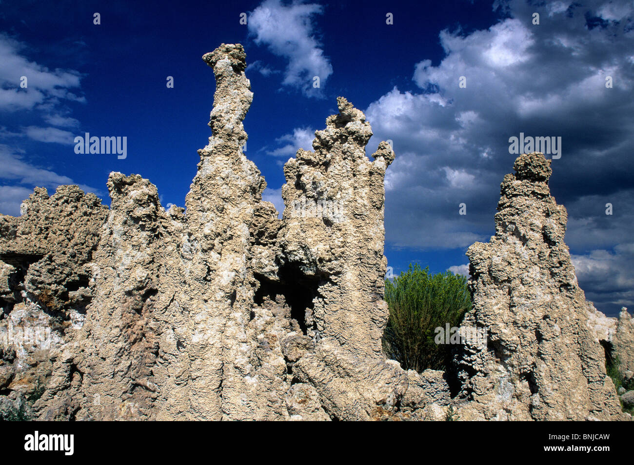 USA California tuff stone stone sculpture shrubs bushes clouds Mono ...
