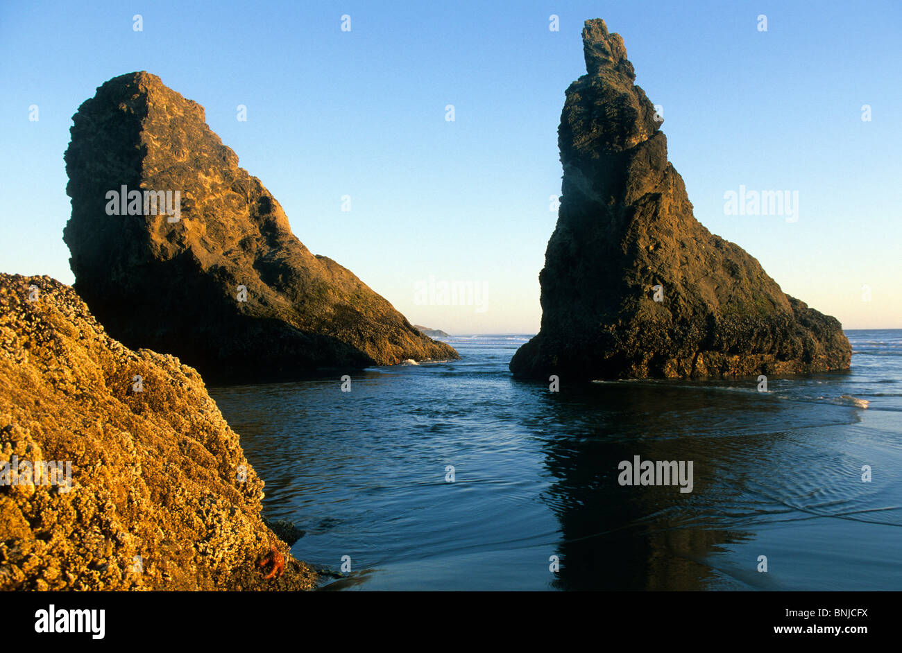 USA Oregon Pacific coast ocean sea rock cliff rock cliff needle ...