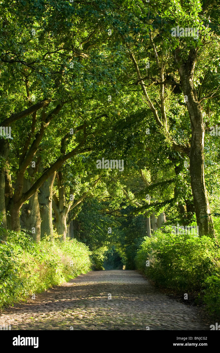 Field recording FRG federal republic Germany island isle Mecklenburg ...