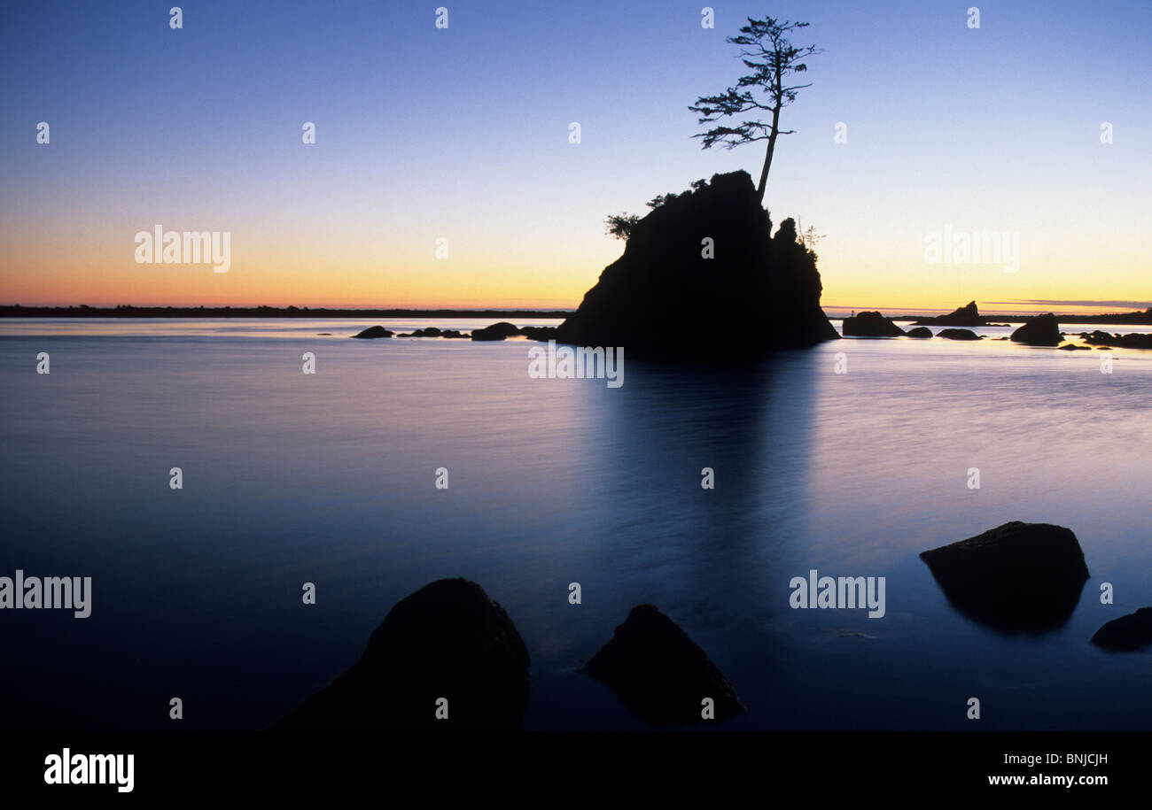 USA Oregon Pacific coast ocean rock cliff rock sea tree evening mood ...