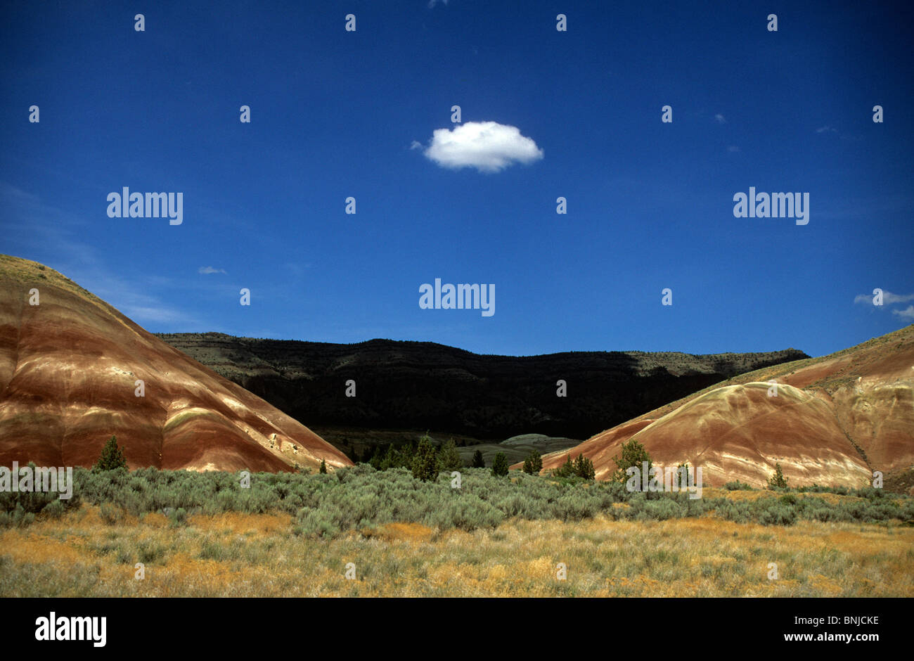 USA Oregon Painted Hills colored hills erosion cloud John Day Fossil ...