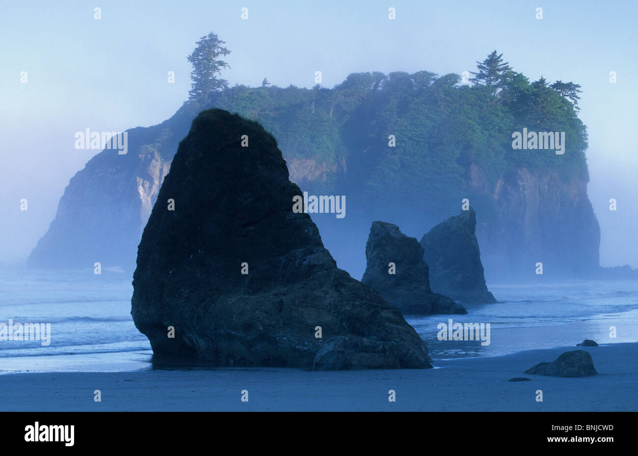 USA Washington Pacific coast ocean Olympic national park sea rock cliff ...
