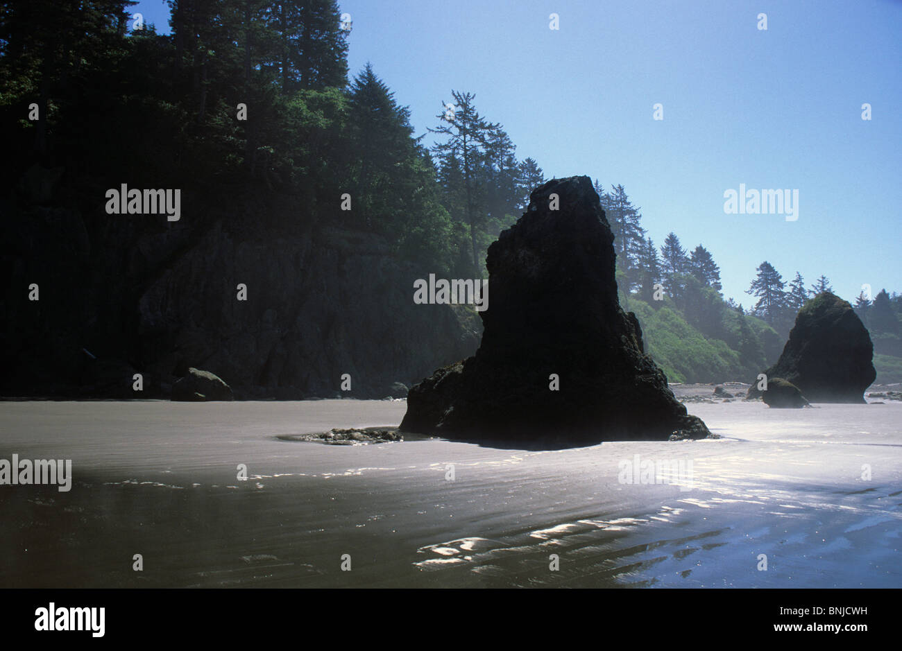 USA Washington Pacific coast ocean Olympic national park sea beach ...