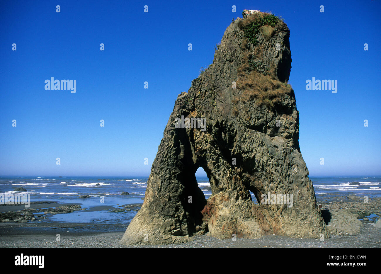 USA Washington Pacific coast ocean Olympic national park sea beach ...