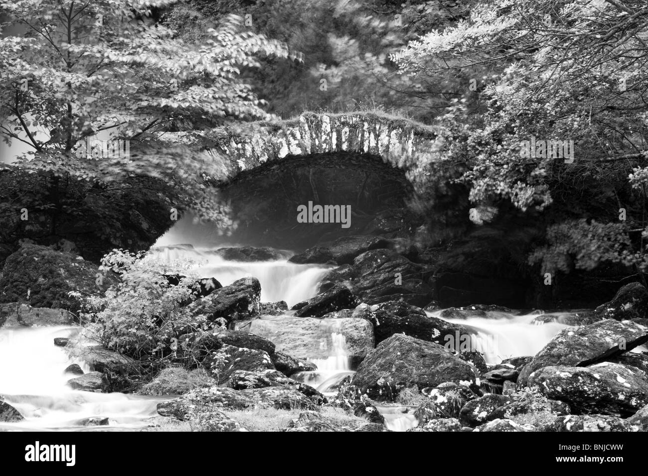Scenic flowing stream lake Black and White Stock Photos & Images - Alamy