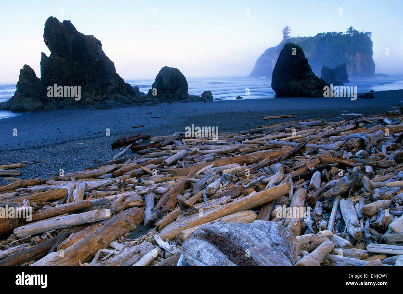 USA Washington Pacific coast ocean Olympic national park rock cliff ...