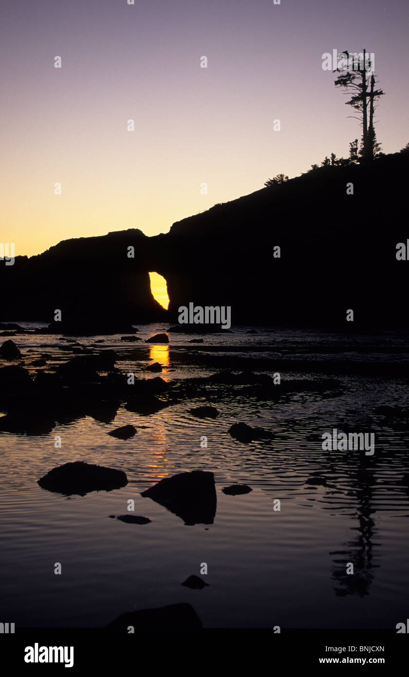 USA Washington Pacific coast ocean Olympic national park sea rock cliff ...