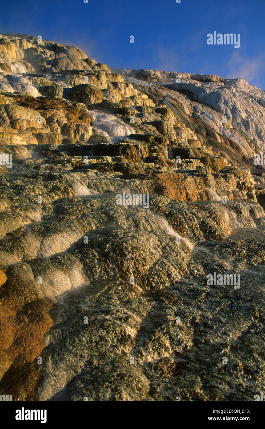 USA Wyoming Yellowstone national park sinter terraces limestone ...