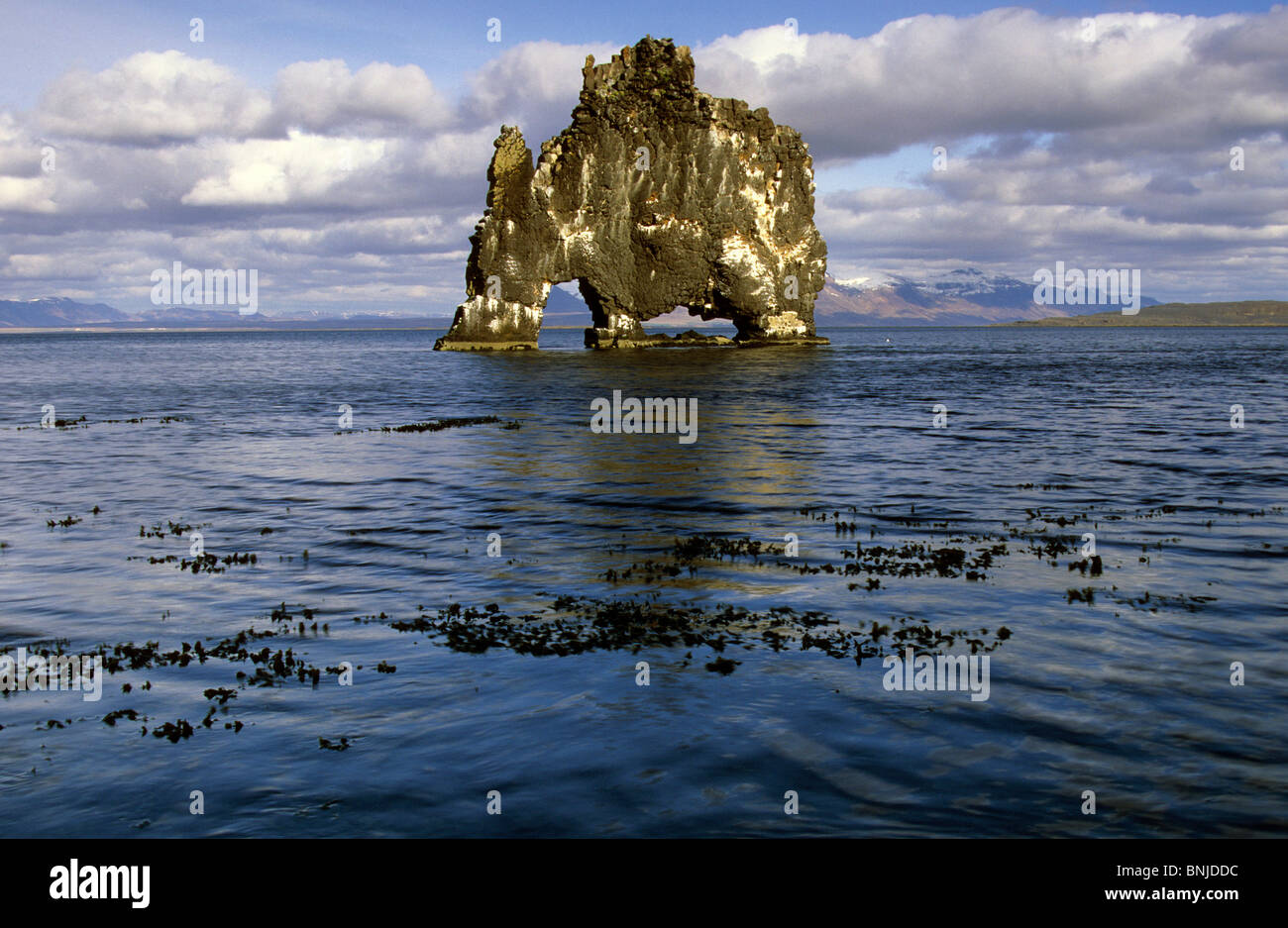 Hvitserkur Iceland landscape scenery coast ocean sea cliff formation ...