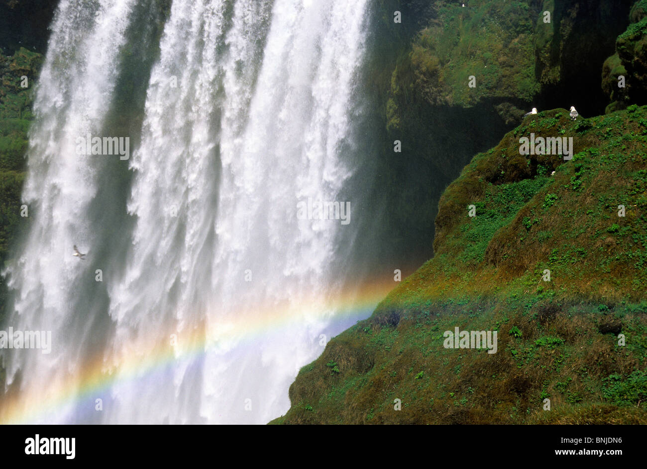Skogafoss Iceland landscape scenery waterfall surf rainbow Stock Photo ...