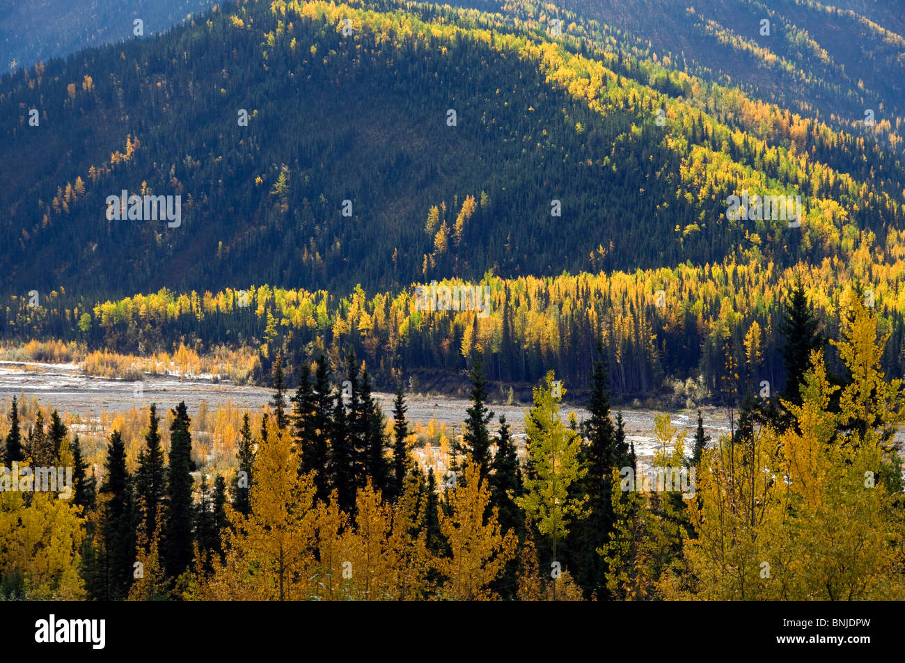 Muskwa hi-res stock photography and images - Alamy