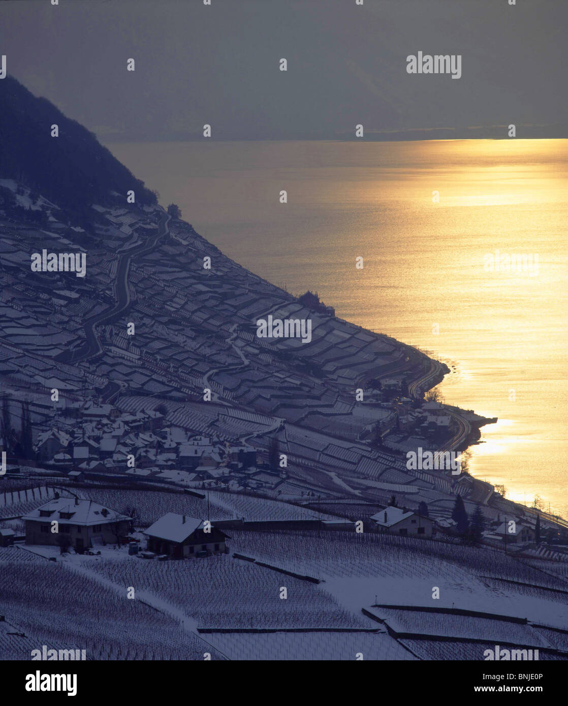 Lake Geneva Lavaux Lac Leman Canton of Vaud Switzerland landscape ...