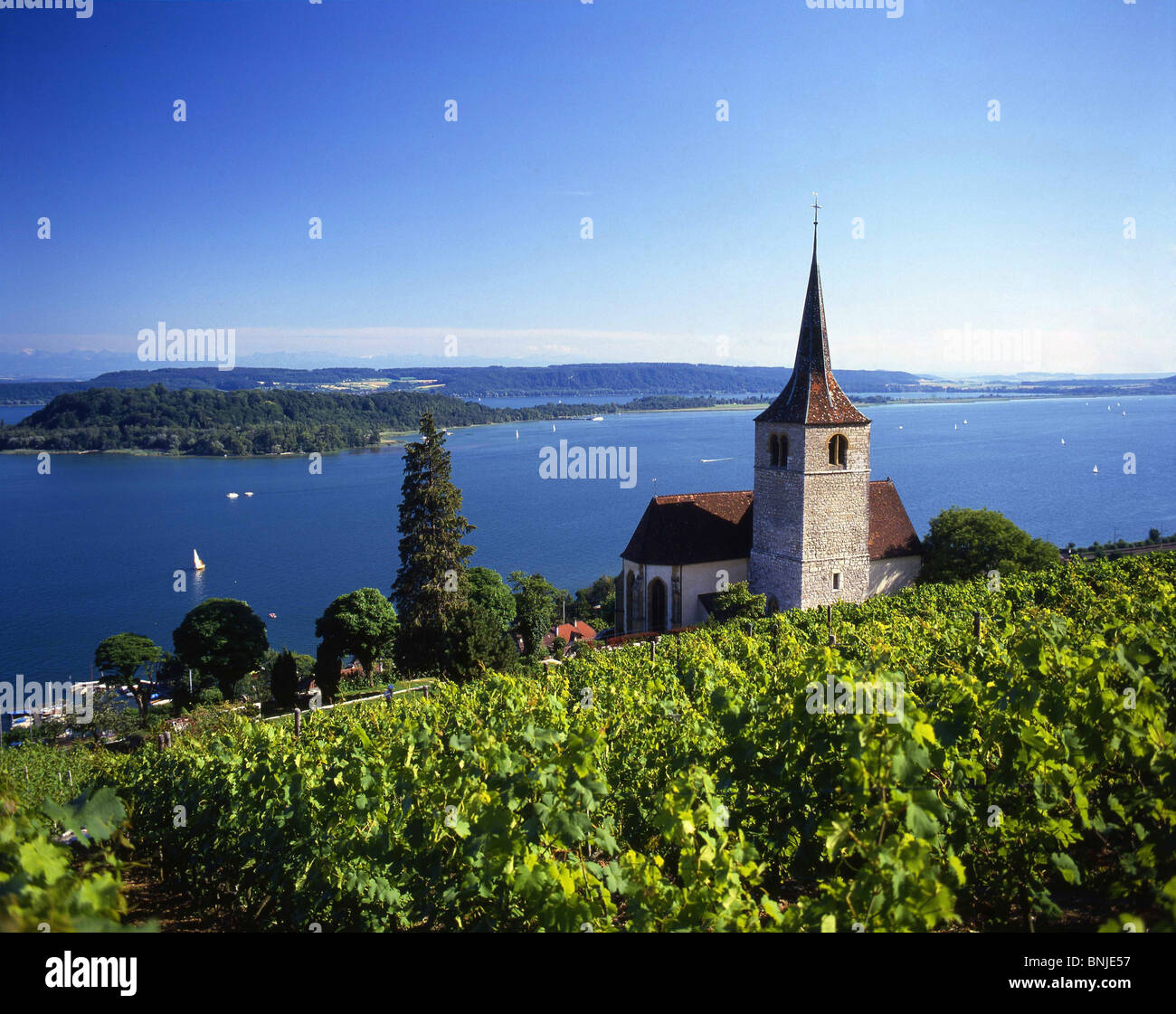 Canton of Berne Bern Lake Biel Ligerz small town Panorama vineyard wine ...