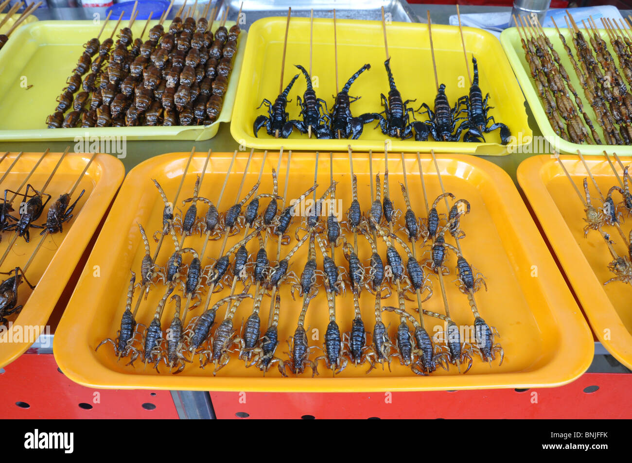 Weird insects hi-res stock photography and images - Alamy