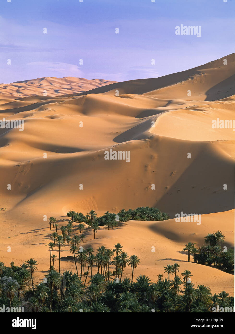 Algeria march 2007 grand erg hi-res stock photography and images - Alamy