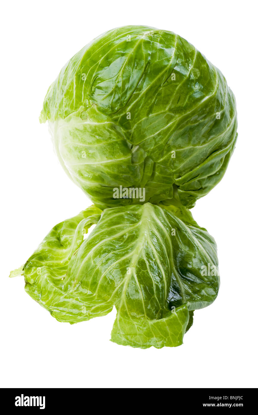 object on white - food cabbage close up Stock Photo - Alamy