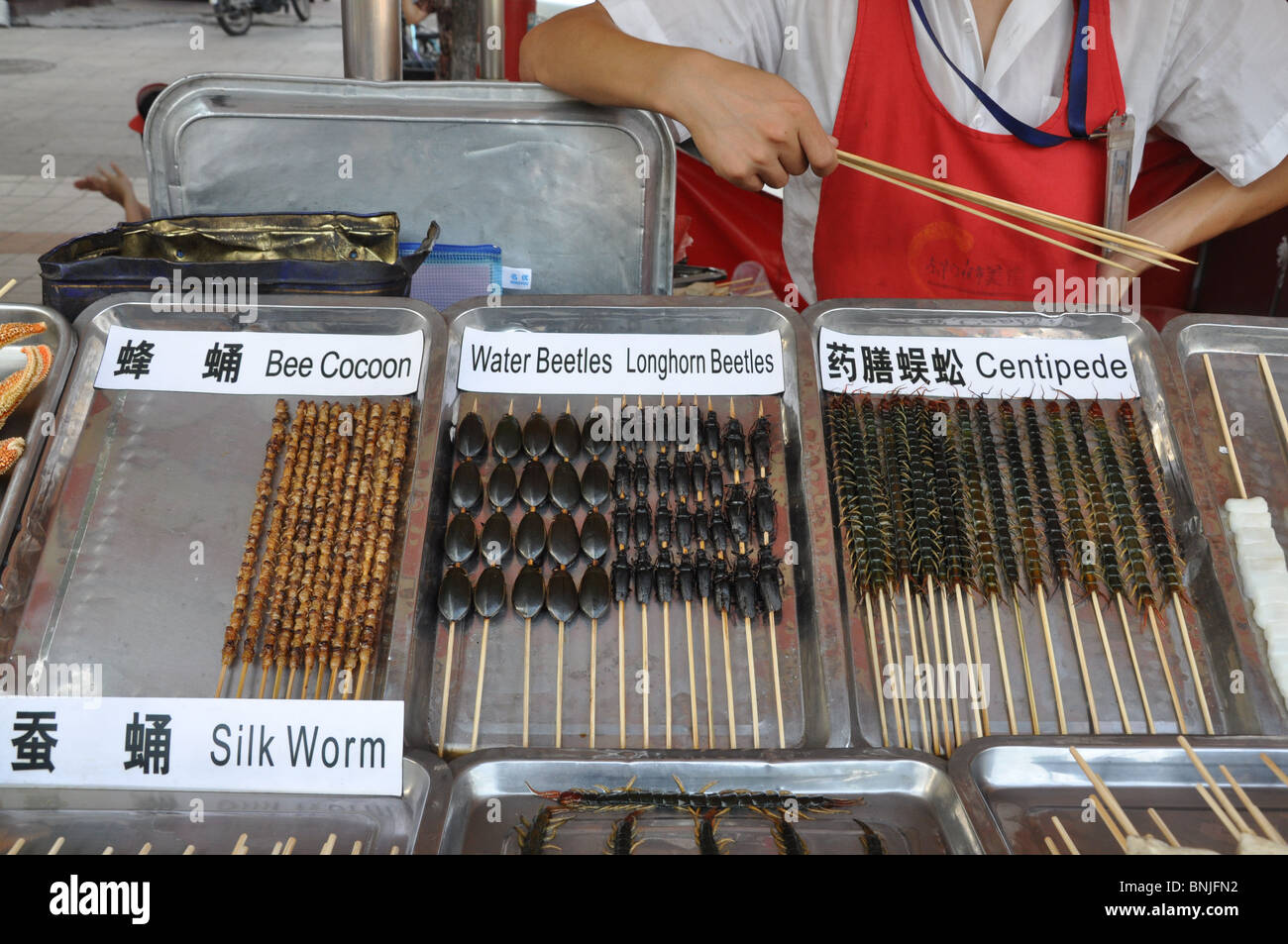 Donganmen Street night food market, Beijing, China. Insects for sale ...