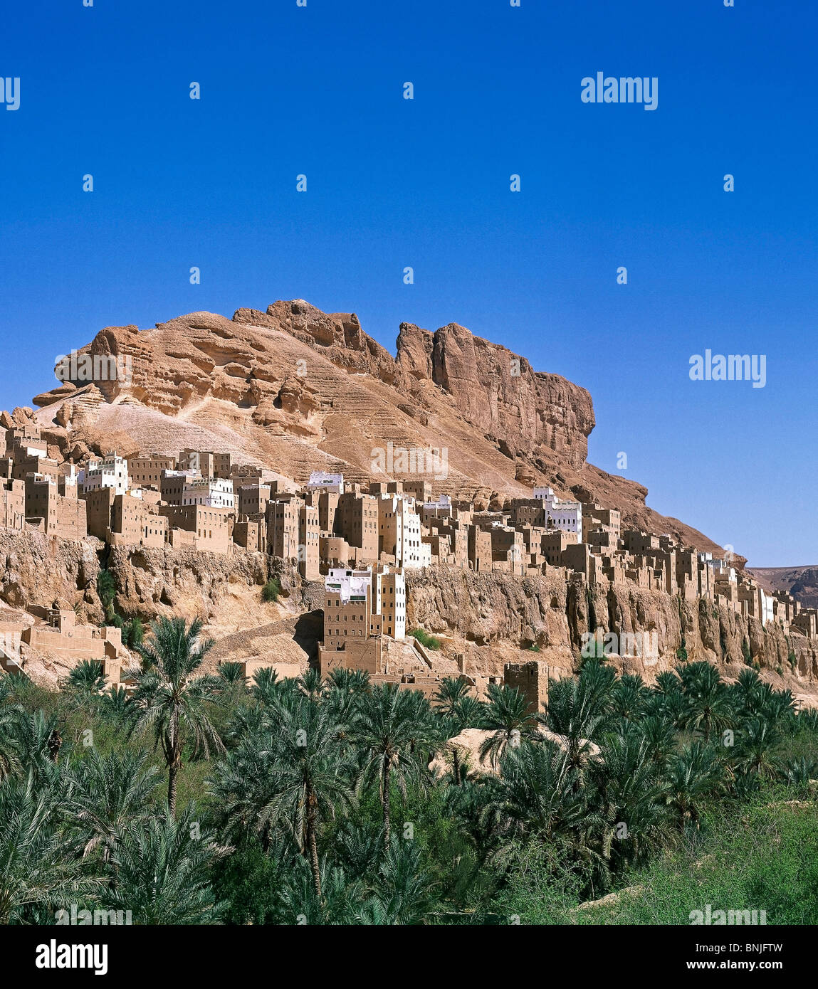 Yemen February 2005 Hadhramaut valley Near Shibam city palm trees ...