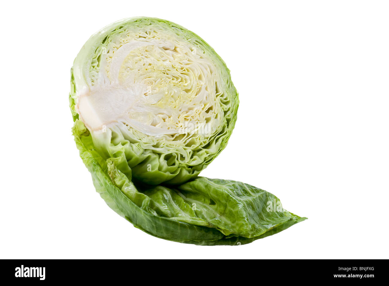 Object on white cabbage hi-res stock photography and images - Alamy