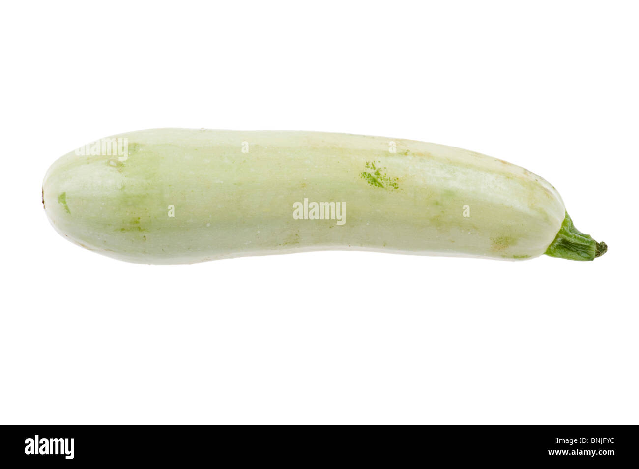 object on white - food vegetable marrow close up Stock Photo - Alamy