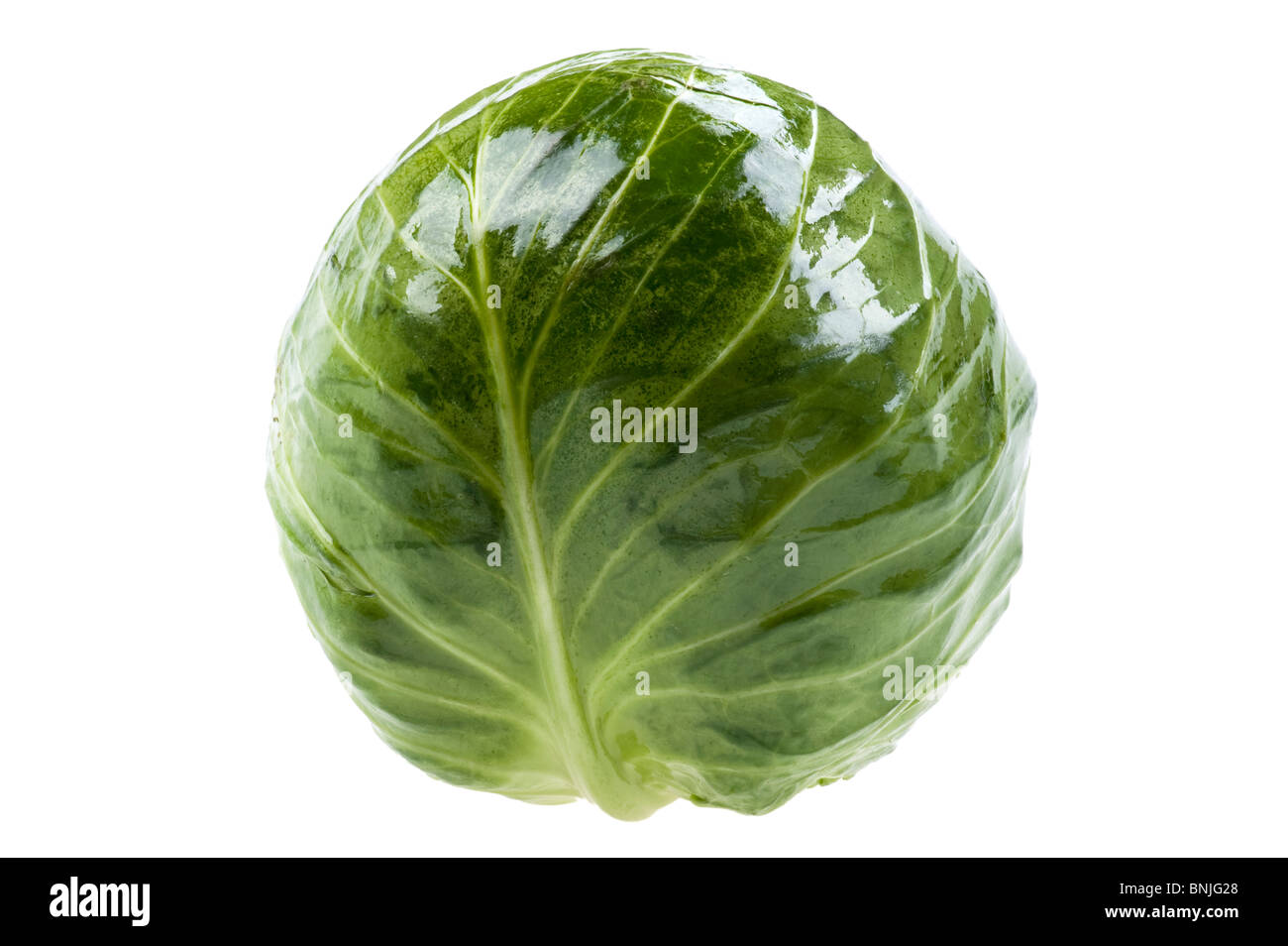 object on white - food cabbage close up Stock Photo - Alamy