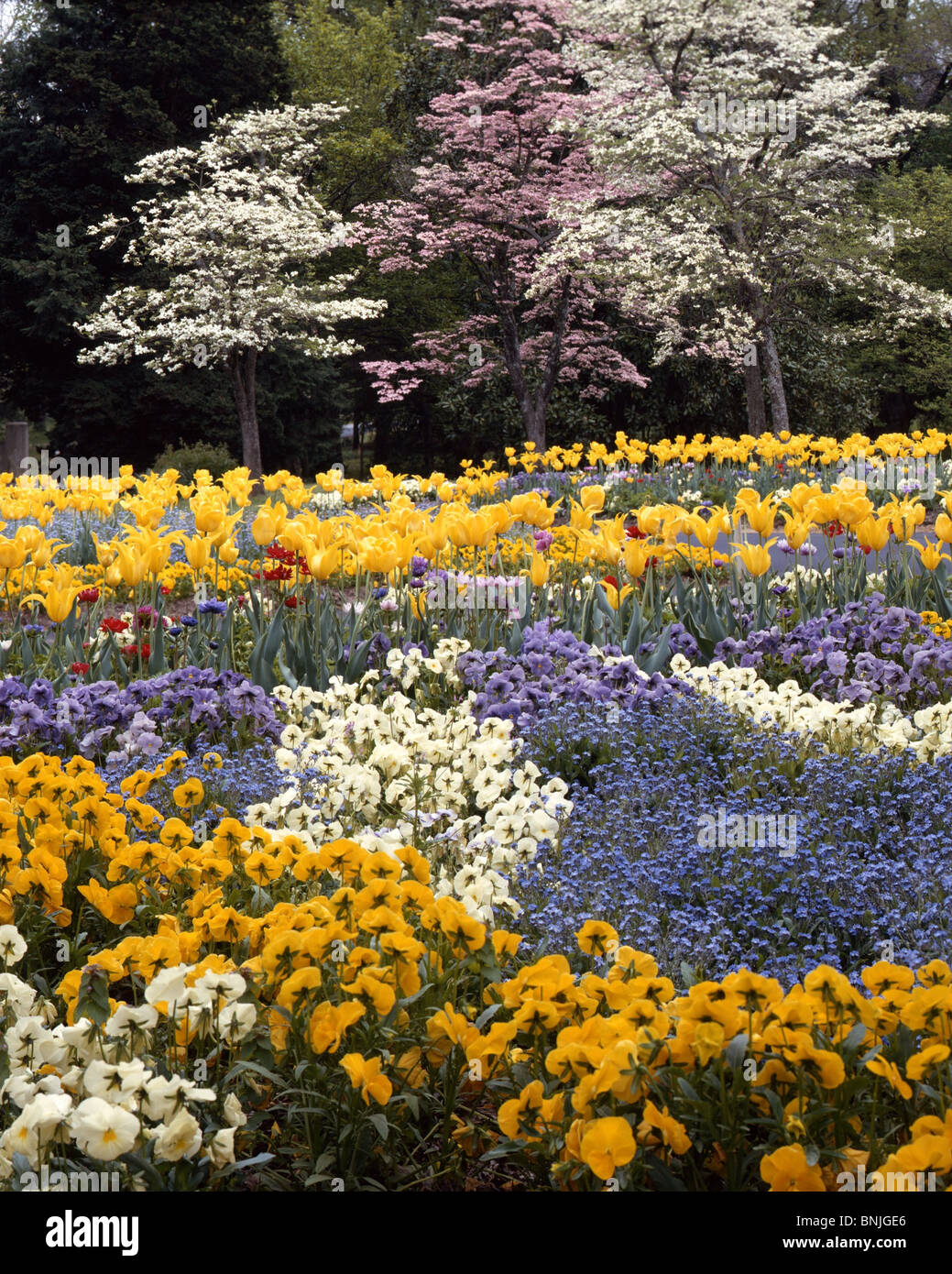 Springtime Garden, VA Stock Photo - Alamy
