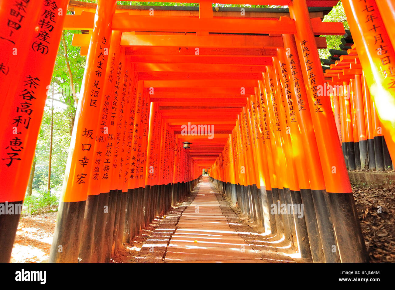 asia culture exterior forest fushimi inari taisha fushimi-ku gate head ...