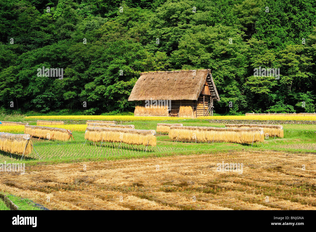 UNESCO agricultural agriculture architecture asia autumn countryside ...