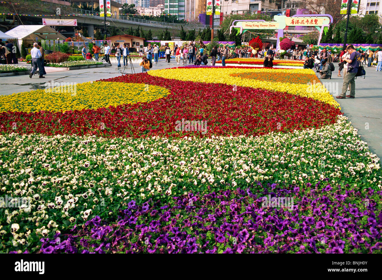 Asia China Hong Kong Flower Show Flower Flowers Colourful Flowers ...