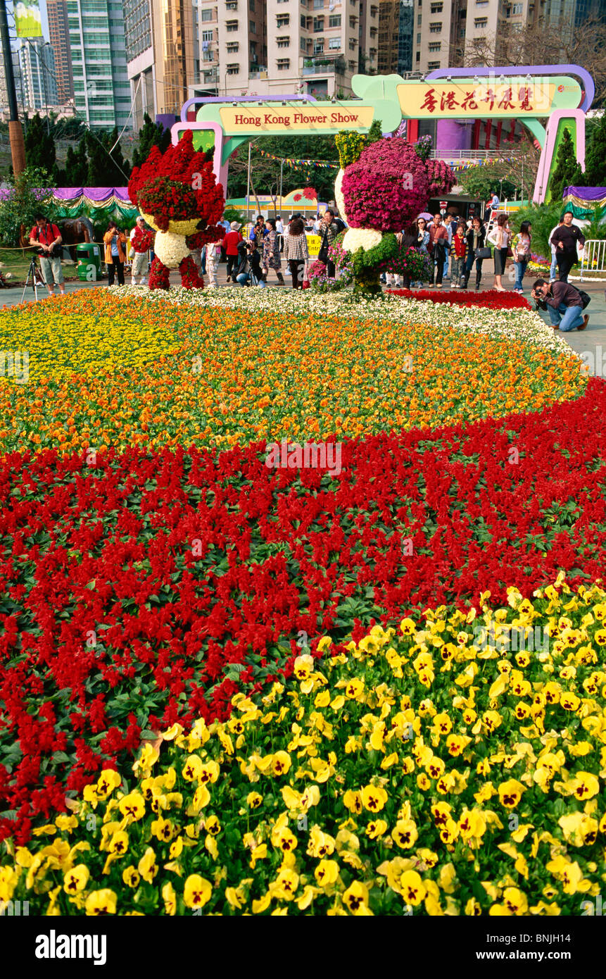 Asia China Hong Kong Flower Show Flower Flowers Colourful Flowers ...