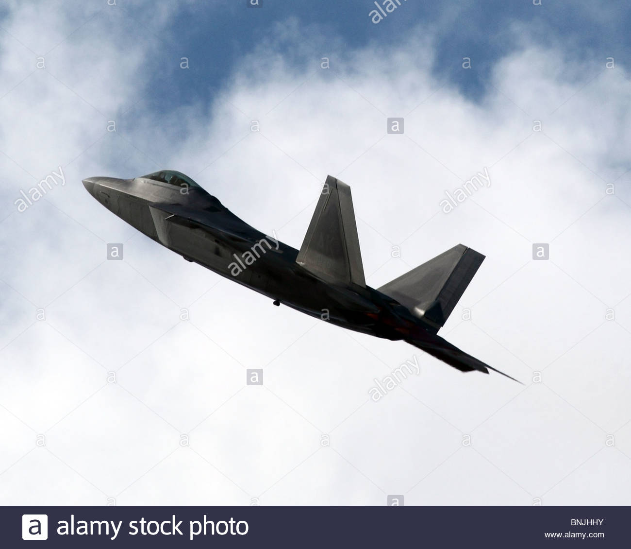 Raptor Show Stock Photos & Raptor Show Stock Images - Alamy