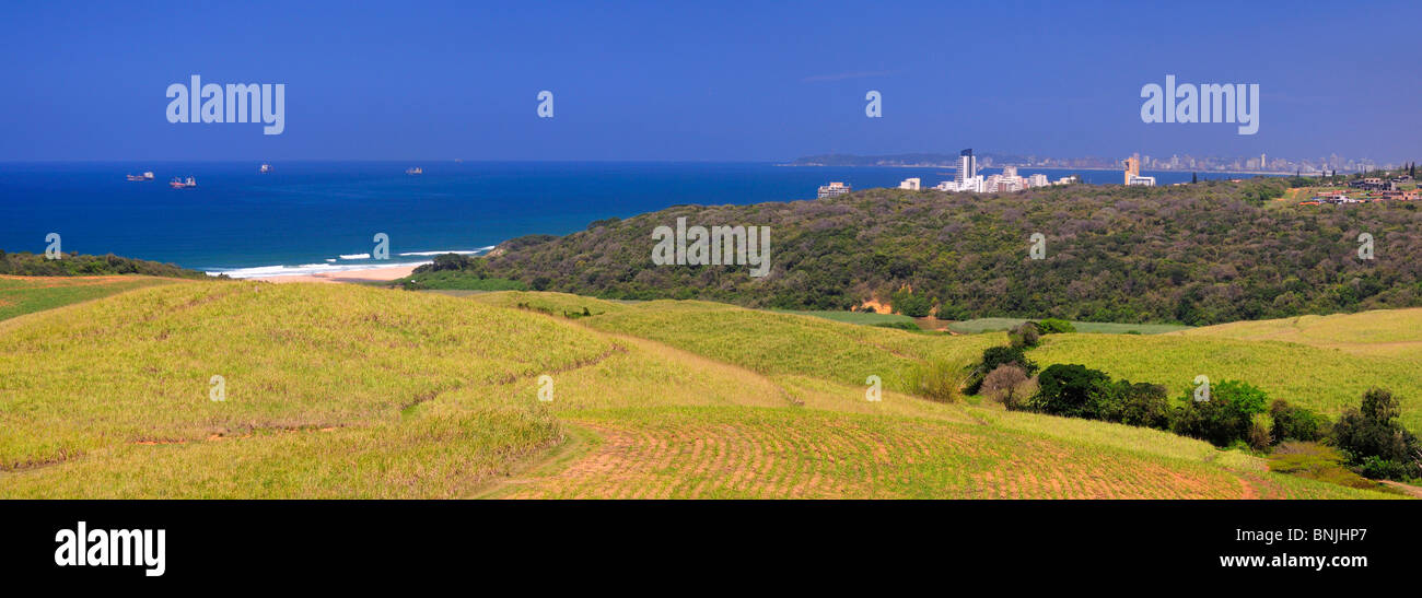 Panorama view to Durban city Fields near Umhlanga Kwazulu Natal South ...