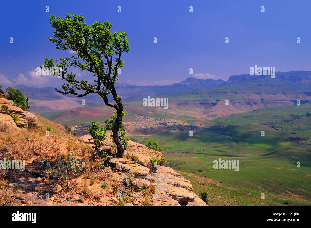 Warped view hi-res stock photography and images - Alamy