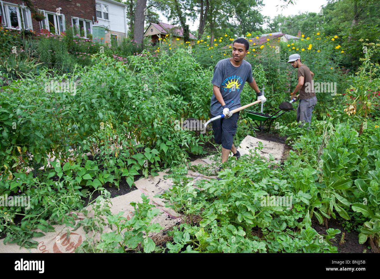 Community school garden hi-res stock photography and images - Alamy