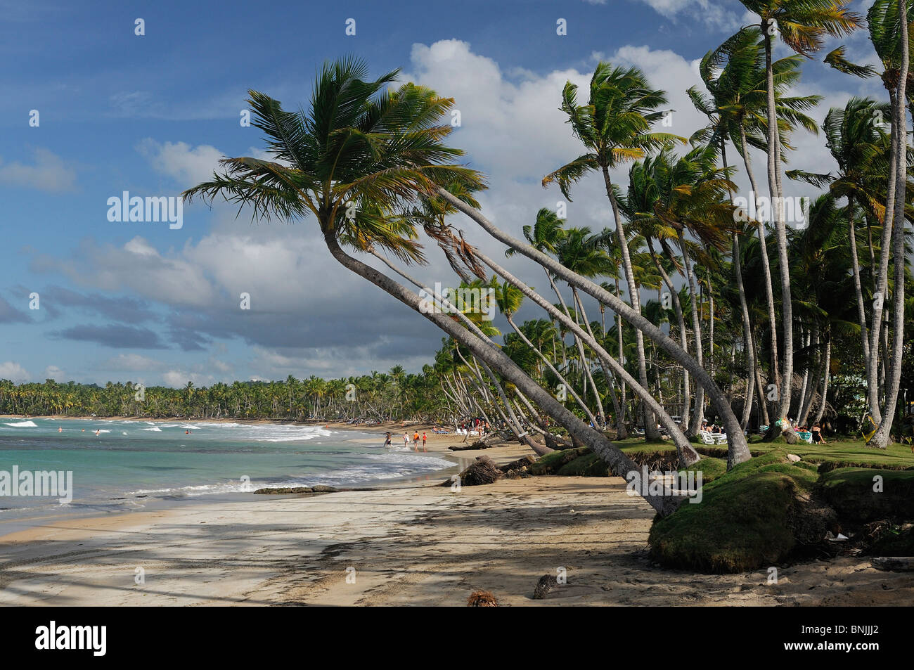 Playa Bonita Las Terrenas Dominican Republic beach sea palm trees ...