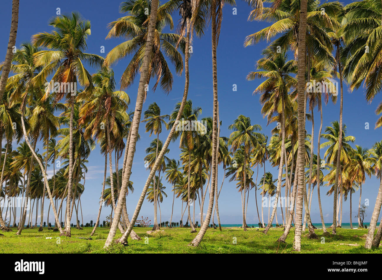 Playa coson hi-res stock photography and images - Alamy