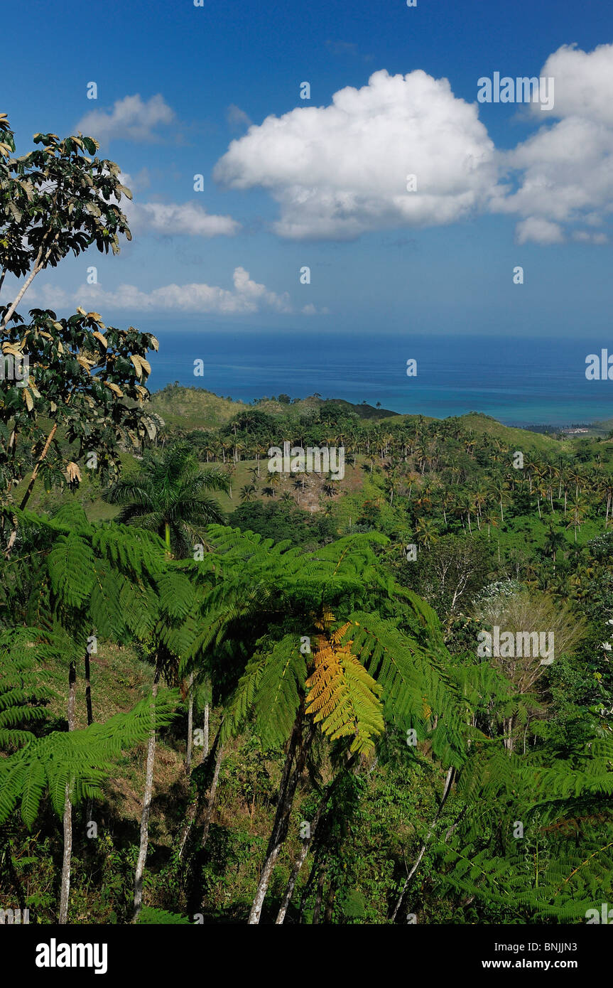 view panorama The Peninsula House Hotel Playa Coson Las Terrenas Samana ...